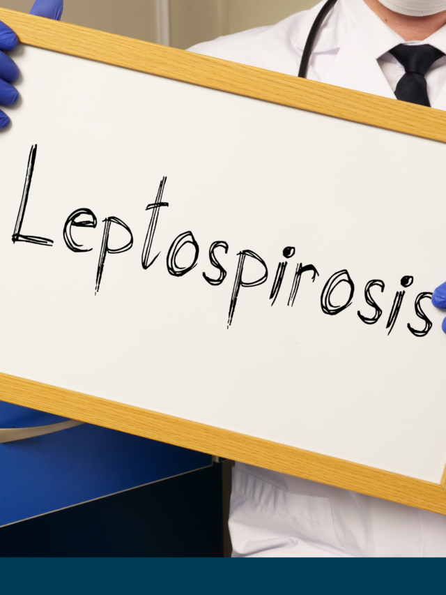 What is Leptospirosis? - Irasto World Health