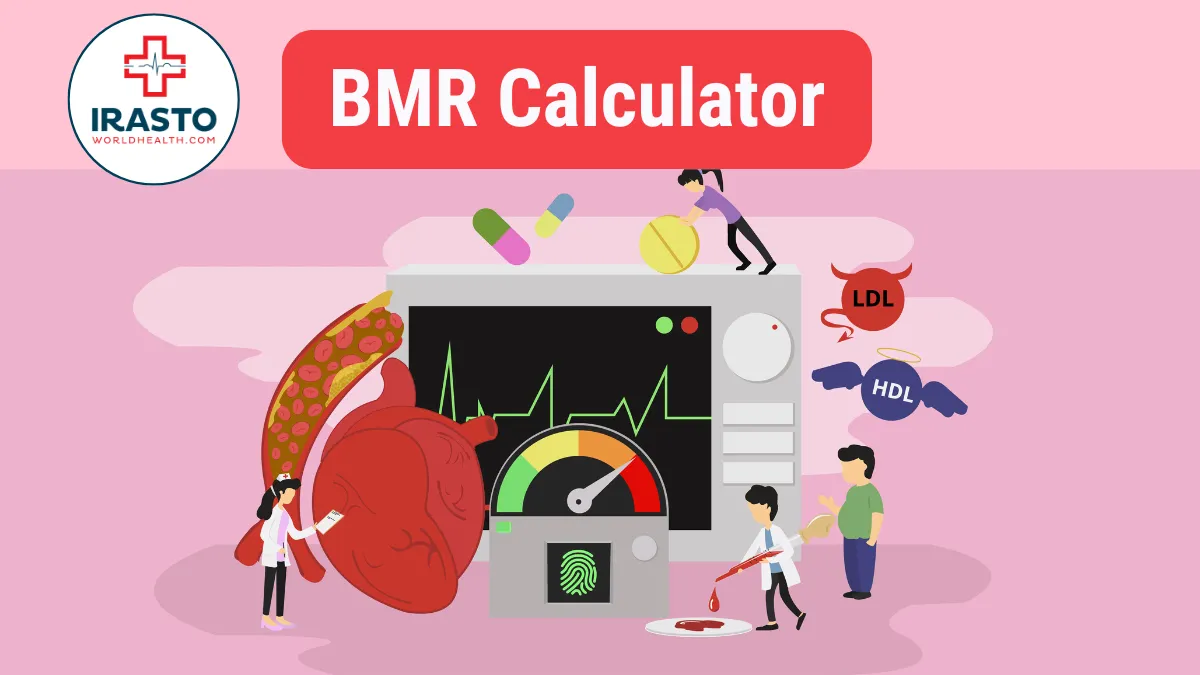 BMR Calculator – Calculate Your Basal Metabolic Rate Online